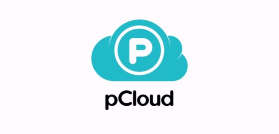 【最大62%OFFセール中！】pCloudのレビュー・使い方と損しない購入方法 | sukiburo